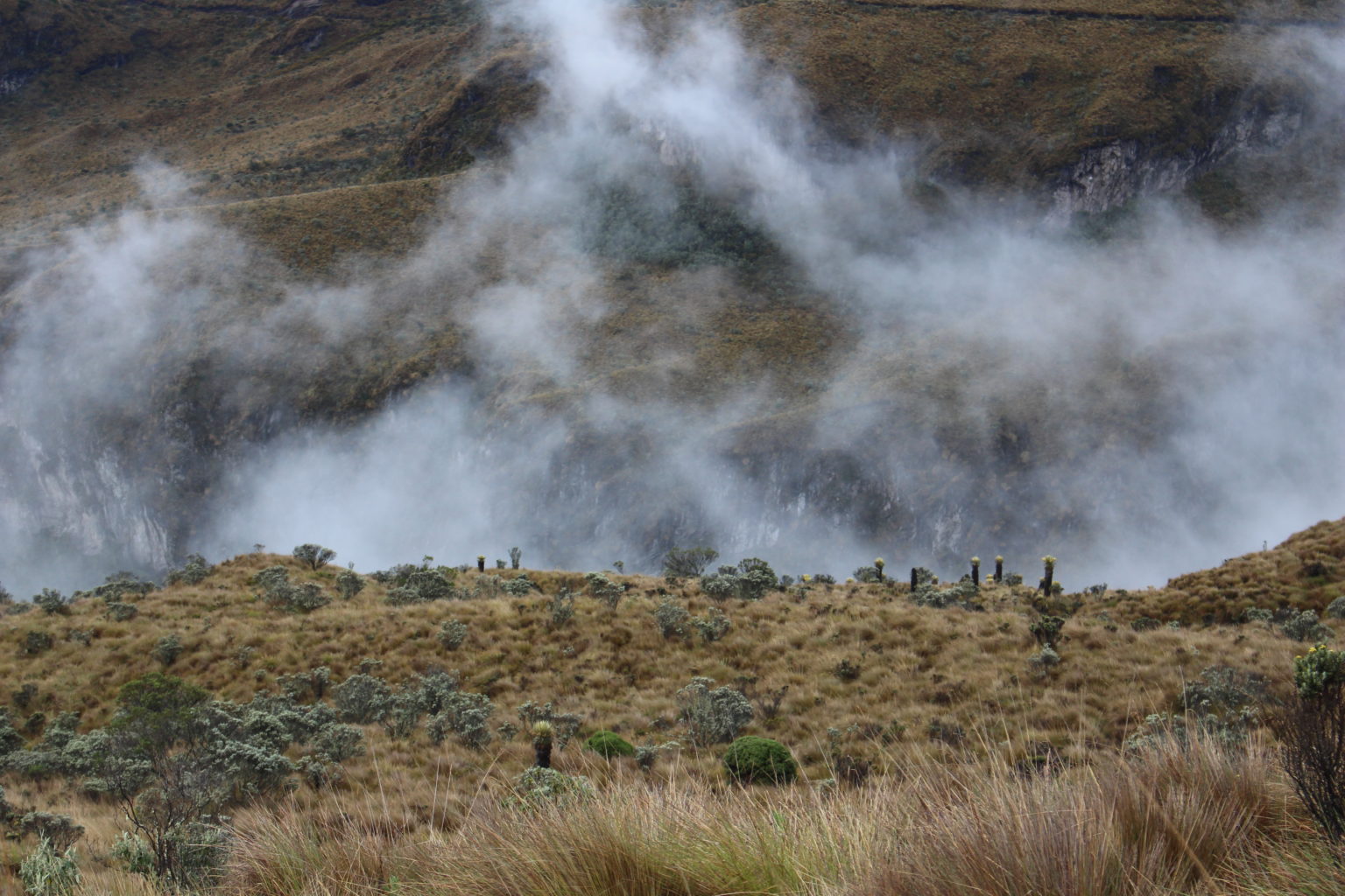 MUTANTE - Santa Isabel: el próximo glaciar que desaparecerá en Colombia