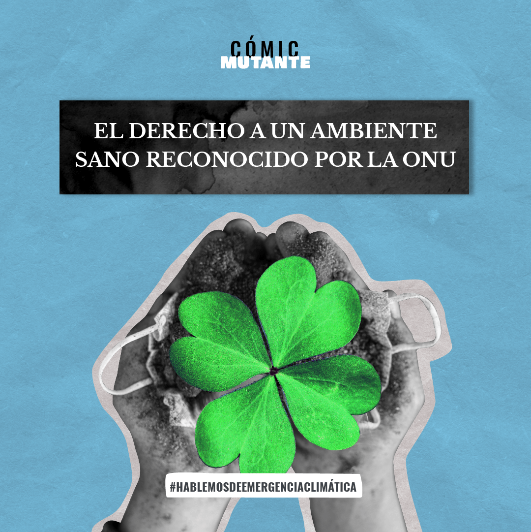 MUTANTE - Un derecho a un ambiente sano reconocido por la ONU