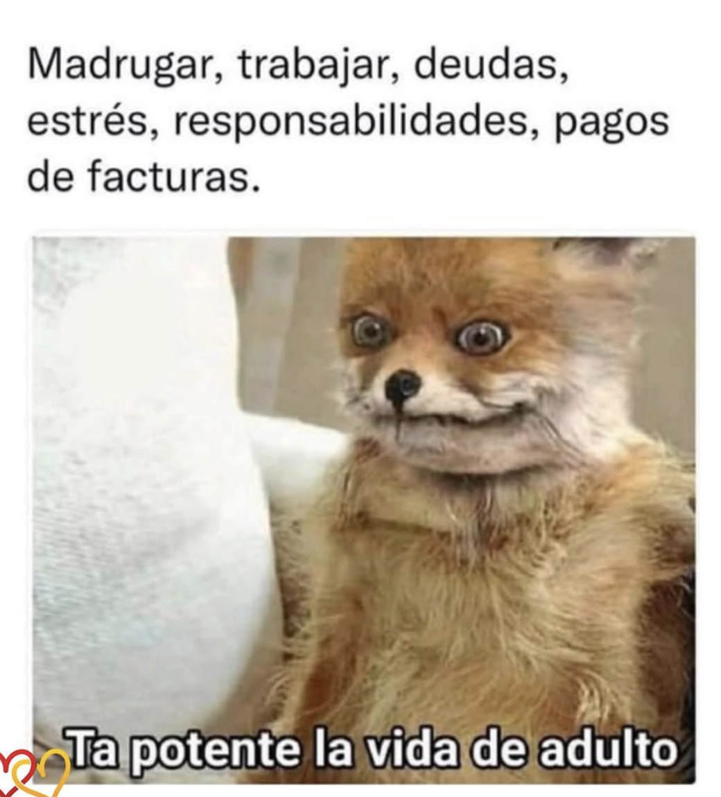 MUTANTE - Está potente ser adulto: conversación sobre un meme con el ...
